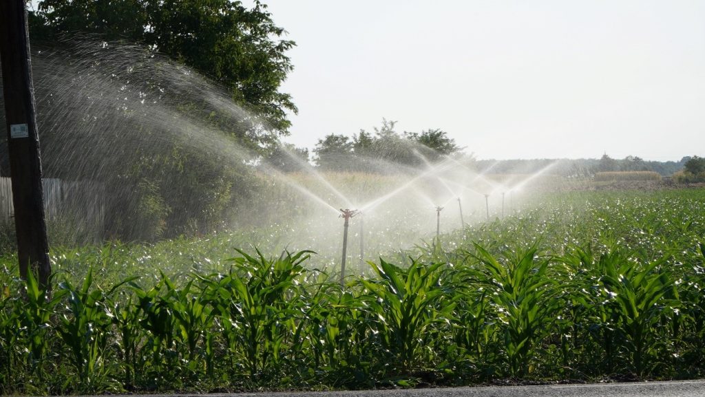 Global Irrigated Areas Expand, Highlighting the Need for Efficient ...